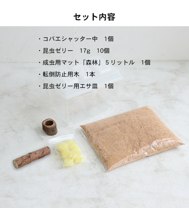【楽天市場】【コバエシャッター「昆虫飼育ケース」】豪華セット：むしや本舗