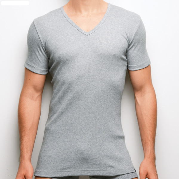 【楽天市場】THE GUNZE 半袖Vネックシャツ（リブ） CK8115 LL [30%off ]：Nakama28