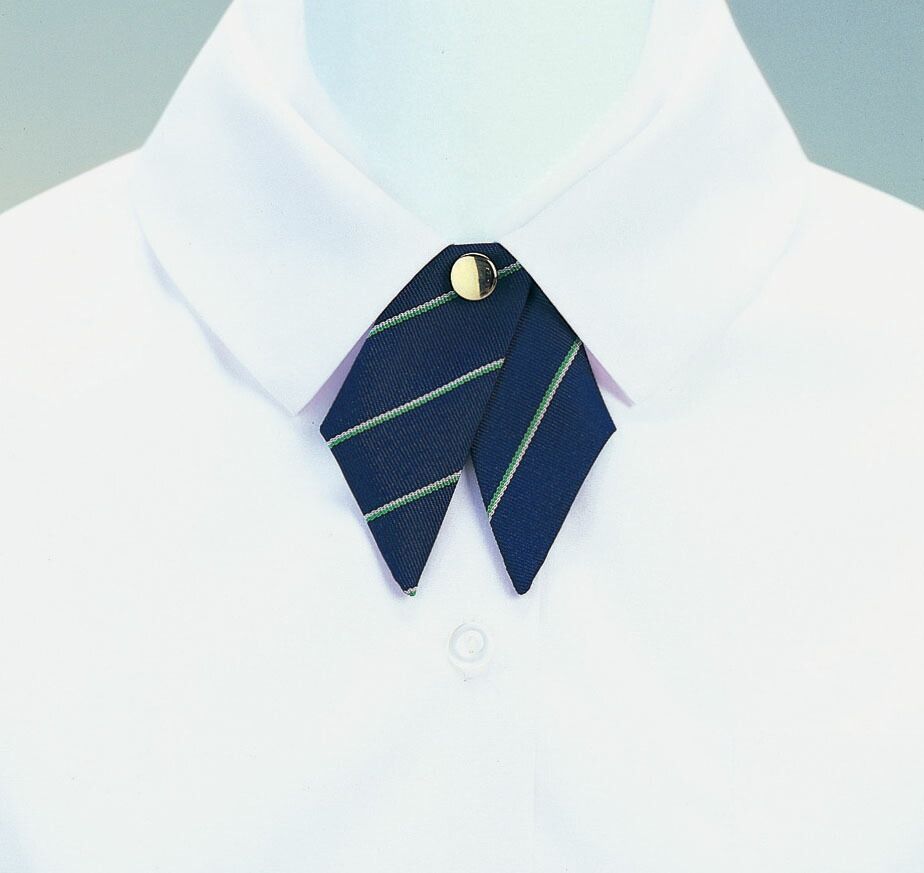 【楽天市場】【5枚セット】スクールリボン ハネクトーン HANECTONE 【ストライプ（紺/緑）】スクール小物 5mai-90x-1：トップ学生服