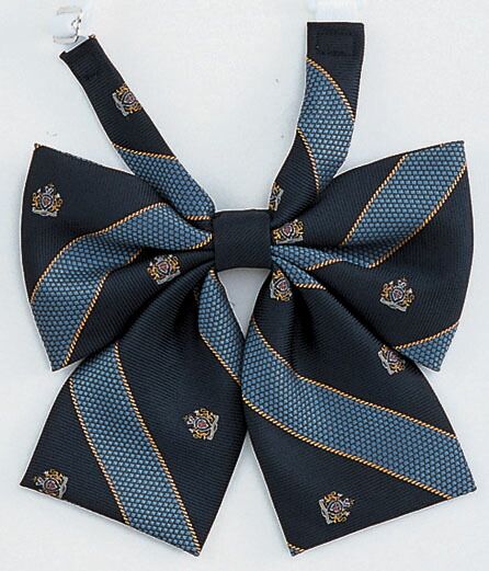 【楽天市場】スクールリボン ハネクトーン HANECTONE 【ストライプ（エンジ/茶）】スクール小物 80jg-3：トップ学生服