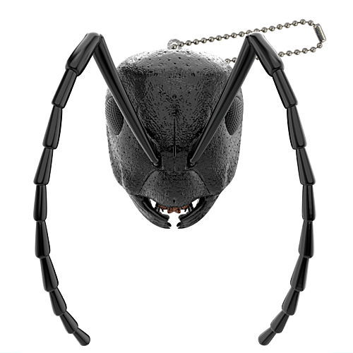 【楽天市場】TAMA-KYU 100倍ズーム アリとハチの顔 [3.メタリック アリ]【 ネコポス不可 】[sale231203]：トイサンタ楽天市場店