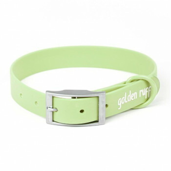 【楽天市場】Golden Ruff ゴールデンラフ カラー ミント S GR-COL-S-001：あっとらいふ