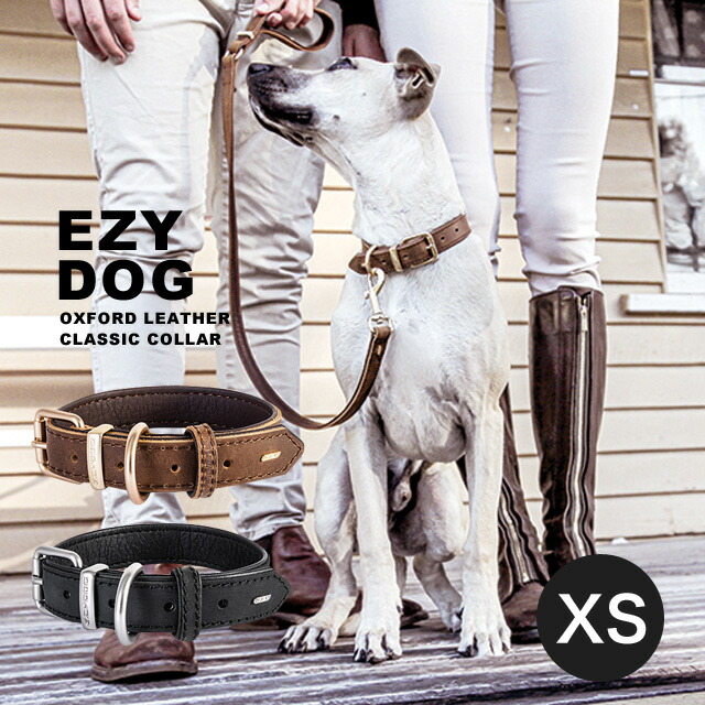 【楽天市場】EZYDOG イージードッグ EZ レザーカラー XS 犬用首輪 ドッグウェア お散歩：ANZUDOG／あんずドッグ