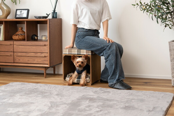 【楽天市場】AZUMAYA ペットスツール PET-169C 完成品 W34×D29.5×H39 送料無料：カウフル 楽天市場店