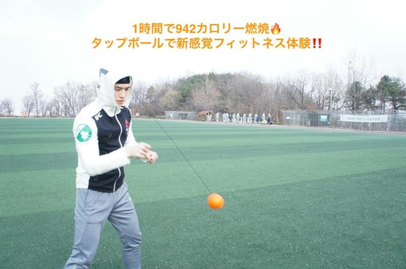 【楽天市場】TAP Ball Set (TAP Ball + TAP Ball Pro) (タップボール)：バランスケア 楽天市場店