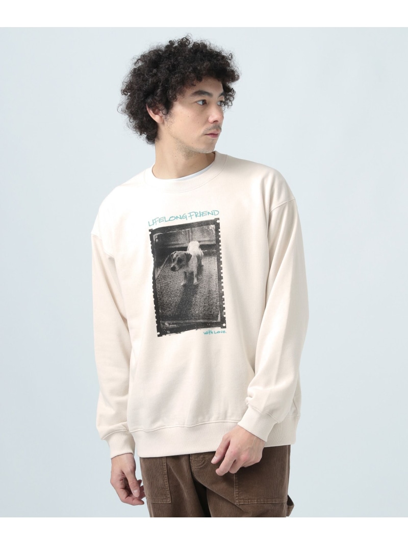 【楽天市場】【SALE／50%OFF】裏毛フォトスウェット BAYFLOW ベイフロー トップス スウェット・トレーナー ホワイト グレー ブラック【RBA_E】[Rakuten ...