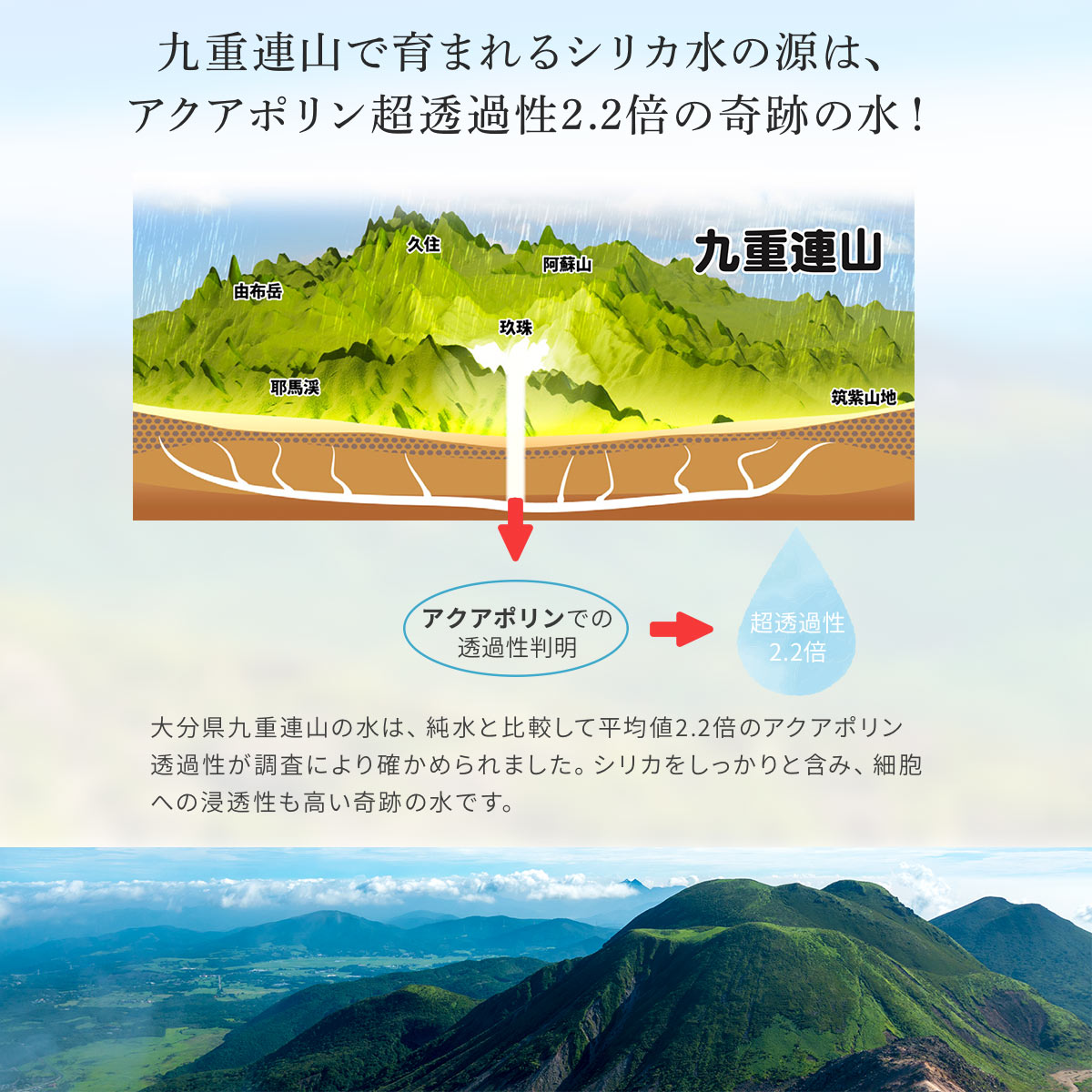 期間限定 ポイント10倍 】【 公式ショップ 】 シリカシリカ 500ml 24本 国産 天然水 シリカ(ケイ素)シリカ水 シリカ