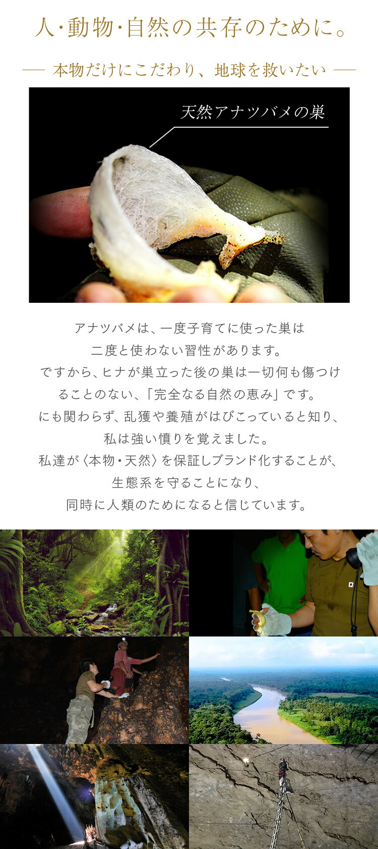 【BI-SU公式】100％天然 アナツバメの巣 エキスゼリースティック (30本入り) コラーゲン ビタミンC ヒアルロン酸 コラーゲンペプチド ツバメの巣 燕の巣 美巣 アナツバメ ...