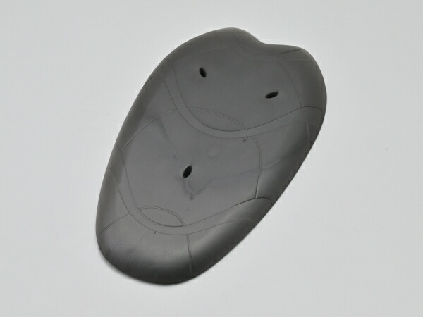 【楽天市場】DAYTONA（デイトナ） 92825 SAS-TEC® 背中用プロテクター Sサイズ（タイプ：ノーマル/レベル：レベル2 ...