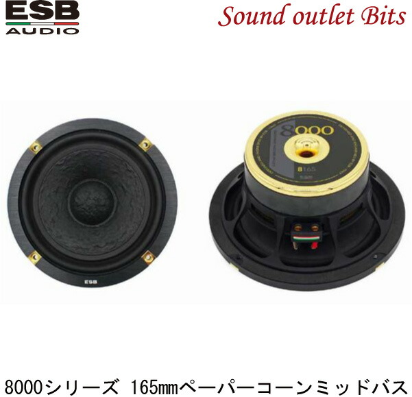 【楽天市場】【ESB AUDIO】8.165 8000シリーズ 165mmペーパーコーンミッドバス2個1組：サウンドアウトレット Bits