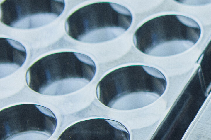 【楽天市場】formix チョコレートモールド モールド【10枚】／ドーム：ユビタマゴ