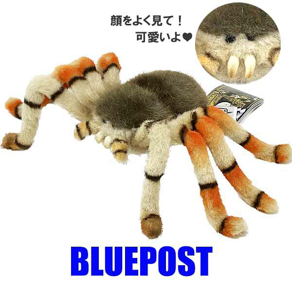 【楽天市場】ハエトリグモ 29 BH6556 ハンサ jumping spider ハンサ ぬいぐるみ【セール_23】：BLUE POST