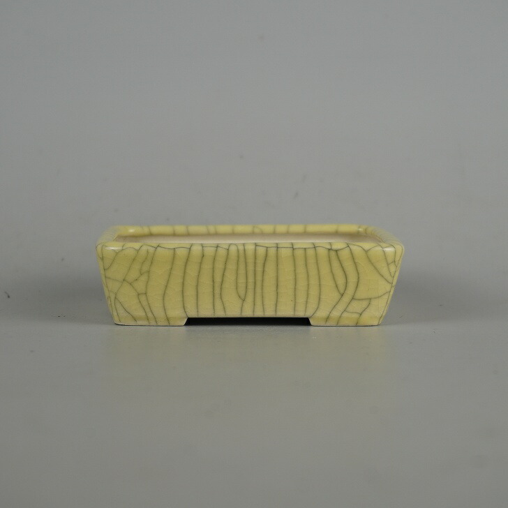 【楽天市場】盆栽鉢 青香 小鉢 長辺 約9.5cm 長方鉢 貫入 釉薬 現品 送料無料：盆栽はニわ 楽天市場店