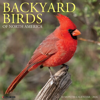 楽天ブックス: Backyard Birds 2026 Wall Calendar - Willow Creek Press ...