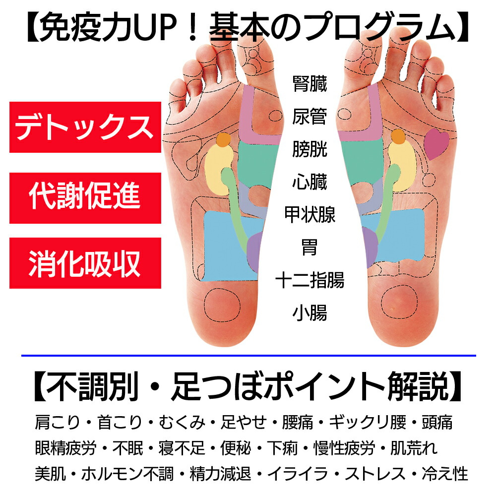 楽天ブックス: 足ツボ刺激で健康になる！ - フットセラピー - 9784867810040 : 本