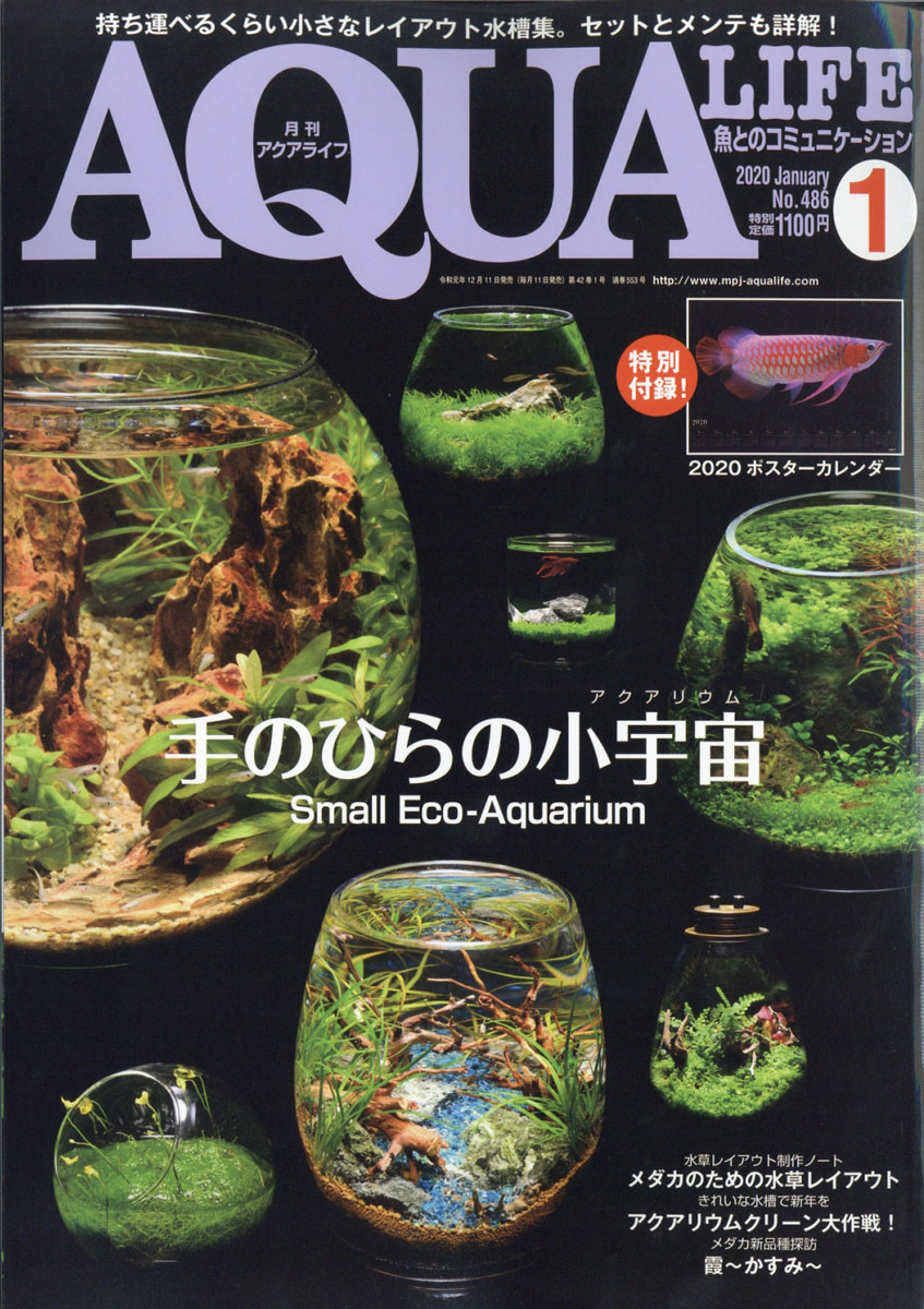 楽天ブックス: 月刊 AQUA LIFE (アクアライフ) 2020年 01月号 [雑誌] - エムピー・ジェー ...