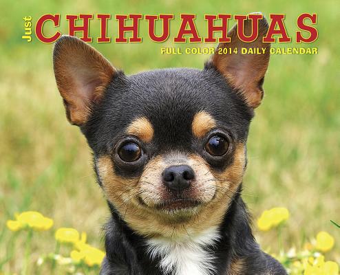 楽天ブックス: Just Chihuahuas - Mark Raycroft - 9781623430115 : 洋書