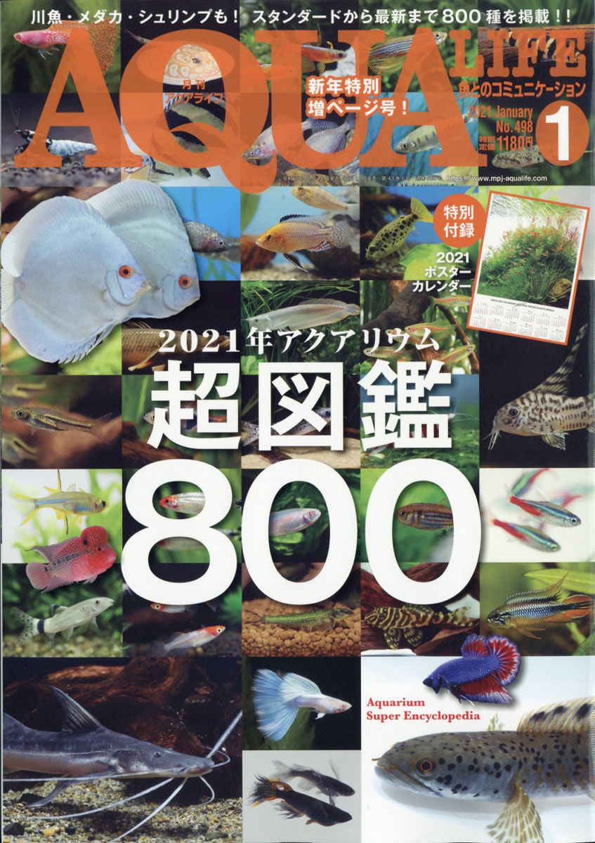 楽天ブックス: 月刊 AQUA LIFE (アクアライフ) 2021年 01月号 [雑誌] - エムピー・ジェー ...