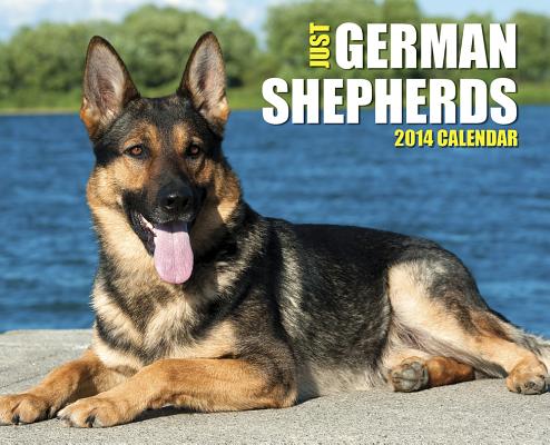 楽天ブックス: Just German Shepherds - Mark Raycroft - 9781623430146 : 洋書