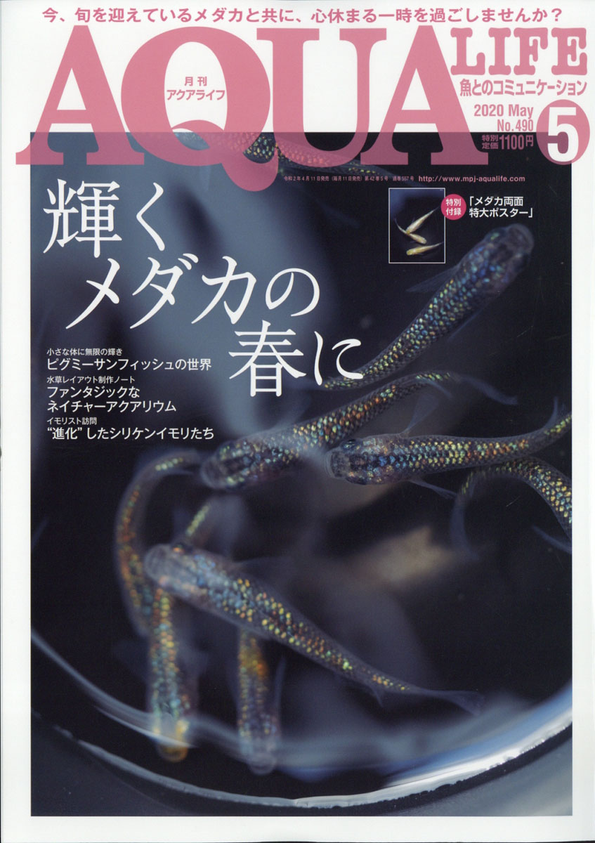 楽天ブックス: 月刊 AQUA LIFE (アクアライフ) 2020年 05月号 [雑誌] - エムピー・ジェー ...