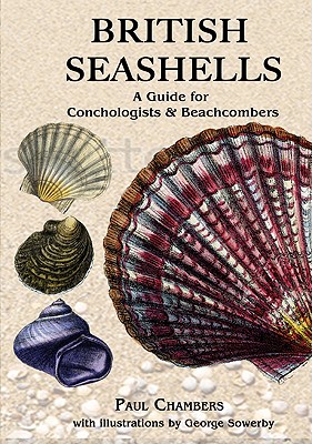 楽天ブックス: British Seashells: A Guide for Collectors and Beachcombers ...