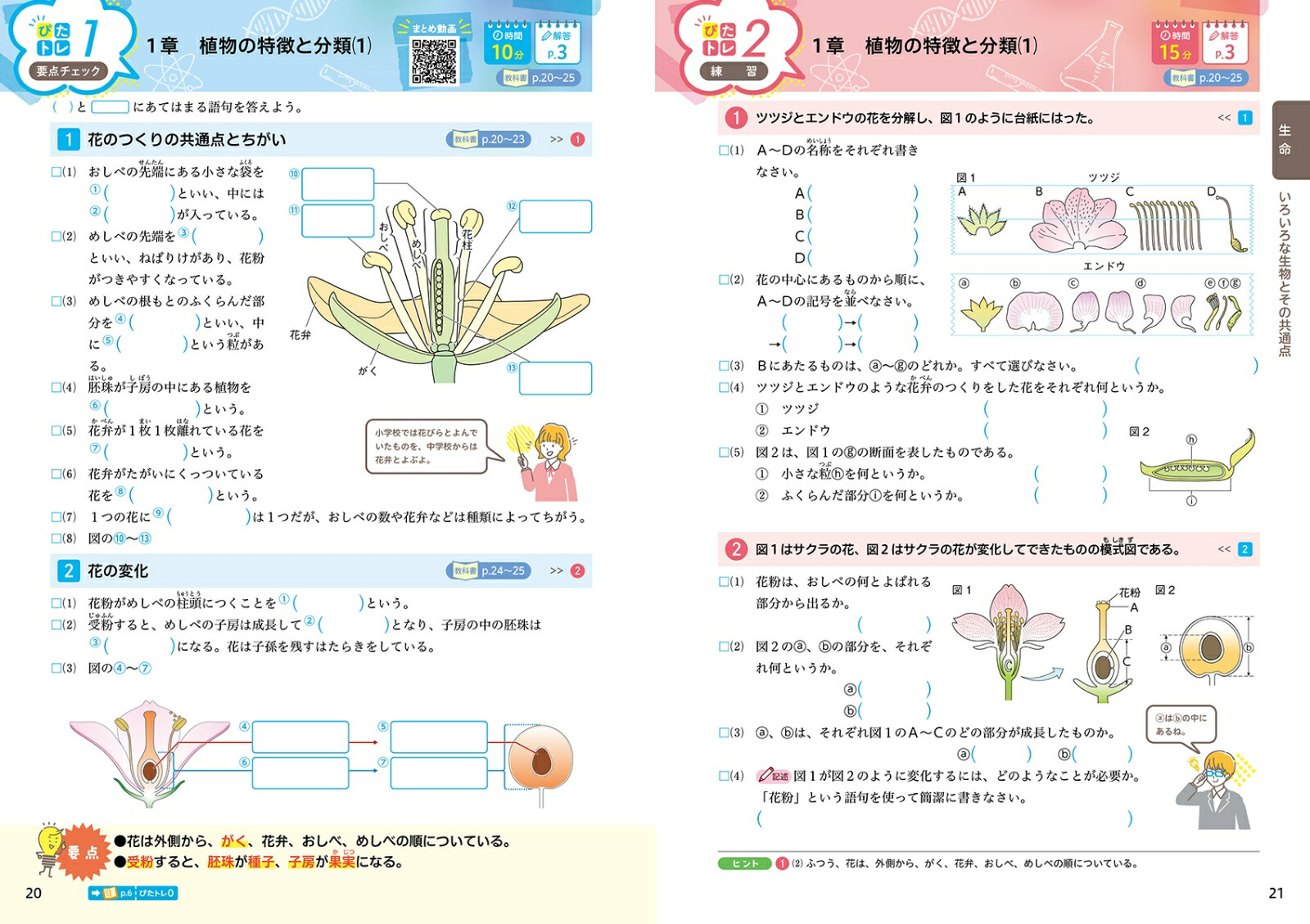 楽天ブックス 中学 教科書ぴったりトレーニング 理科1年 啓林館版（教科書完全対応、オールカラー、学習ツール6定期テスト予想問題赤シート