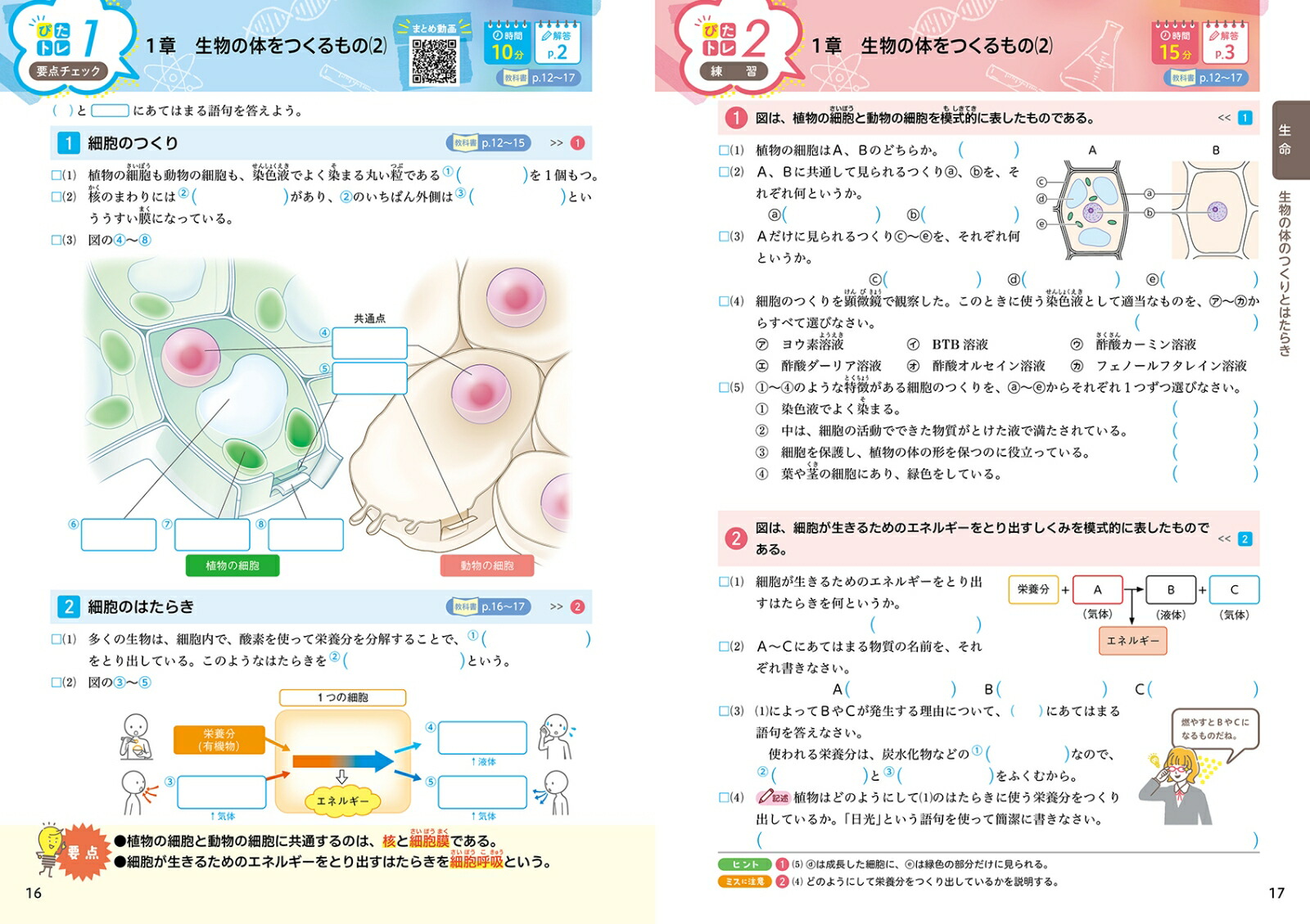 楽天ブックス 中学 教科書ぴったりトレーニング 理科2年 啓林館版（教科書完全対応、オールカラー、学習ツール6定期テスト予想問題赤シート