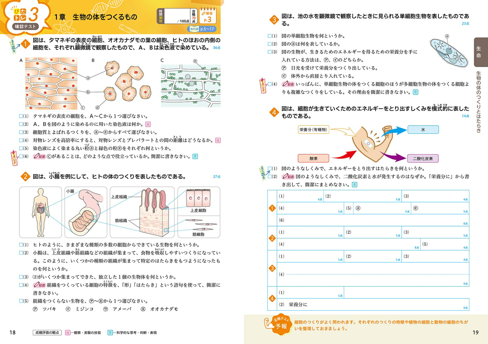 楽天ブックス 中学 教科書ぴったりトレーニング 理科2年 啓林館版（教科書完全対応、オールカラー、学習ツール6定期テスト予想問題赤シート