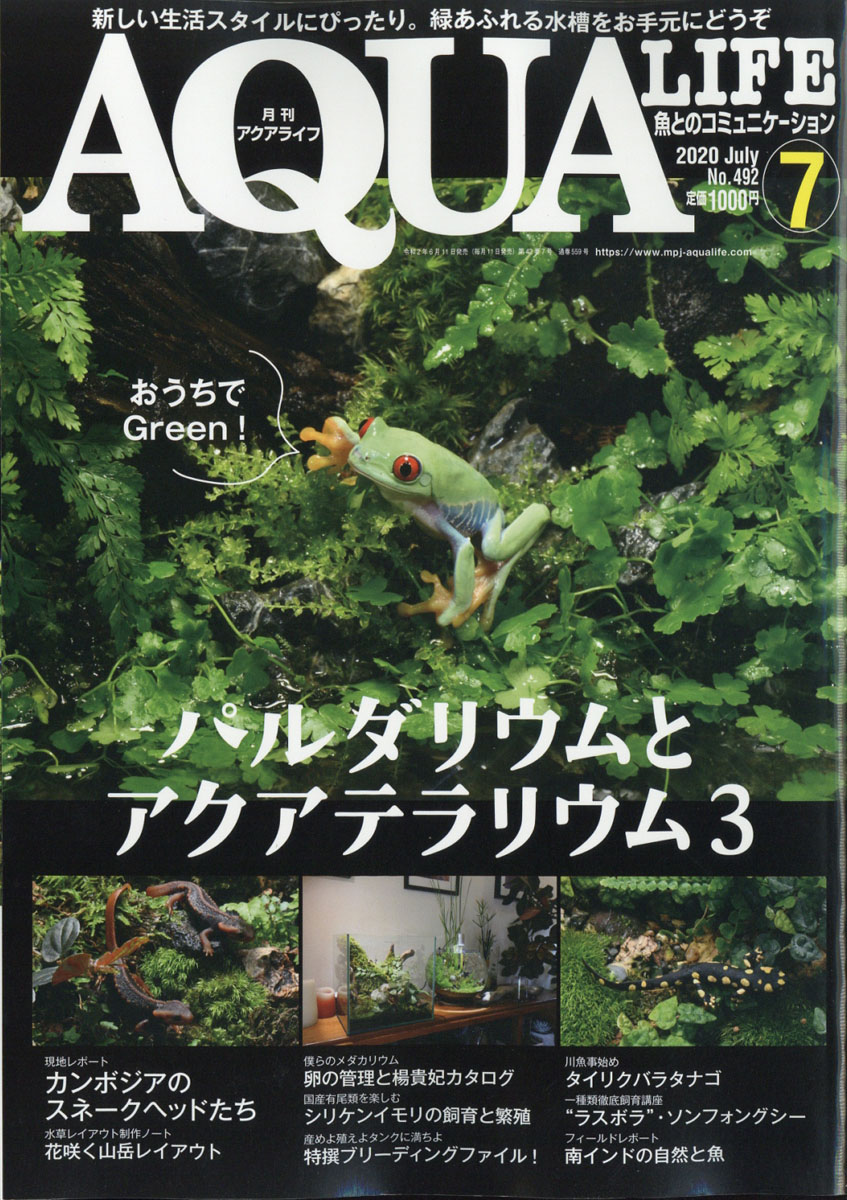 楽天ブックス: 月刊 AQUA LIFE (アクアライフ) 2020年 07月号 [雑誌] - エムピー・ジェー ...