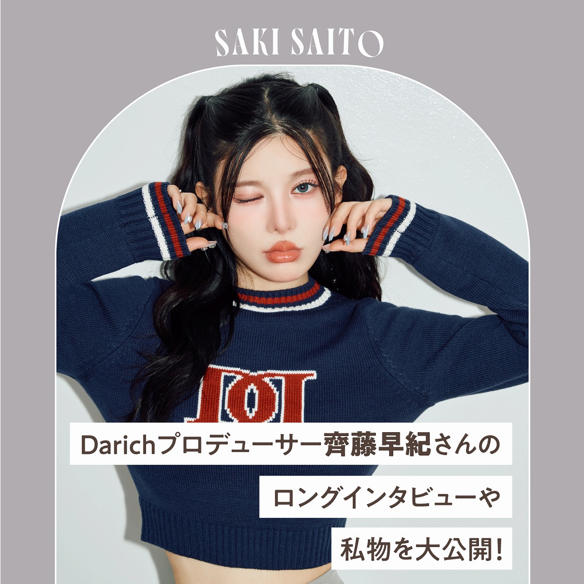 Darich FLUFFY BAG BOOK GRAY ver. [ Darich ]