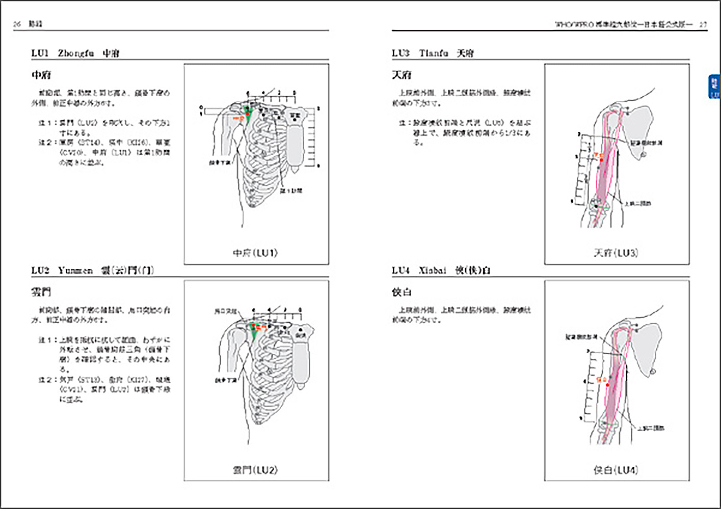 楽天ブックス: WHO／WPRO標準経穴部位 - 日本語公式版 - WHO西太平洋地域事務局 - 9784752911173 : 本