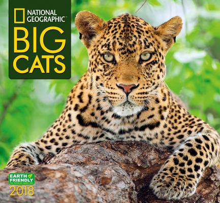 楽天ブックス: National Geographic Big Cats 2018 Wall Calendar - National ...