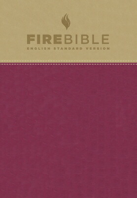 楽天ブックス: Fire Bible-ESV - Hendrickson Publishers - 9781619701496 : 洋書