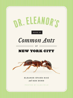 楽天ブックス: Dr. Eleanor's Book of Common Ants of New York City - Eleanor ...
