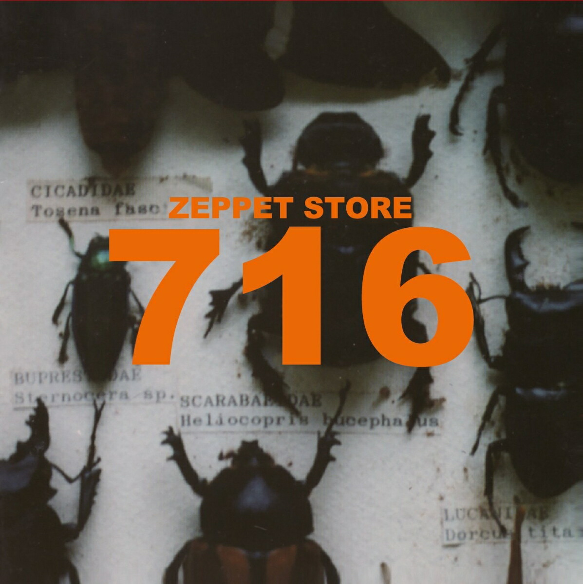 楽天ブックス: 716 -Special Edition- - ZEPPET STORE - 4948722521693 : CD