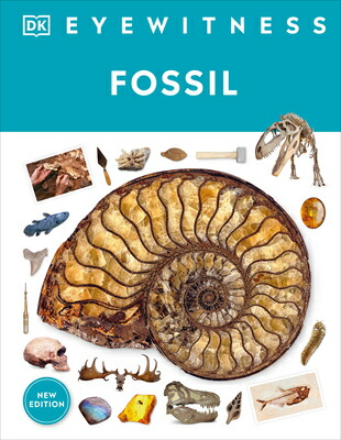 楽天ブックス: Fossil - Paul David Taylor - 9780744092073 : 洋書