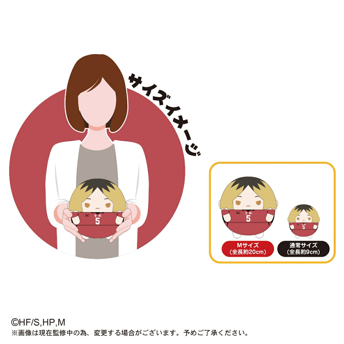 楽天ブックス: HQ-22Aハイキュー！！ふわコロりんMsize2A 月島 蛍（つきしま けい） - 玩具 - 4580683602167 : ゲーム