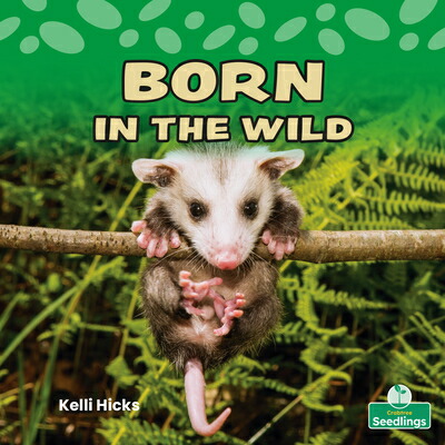 楽天ブックス: Born in the Wild - Kelli Hicks - 9781039662193 : 洋書