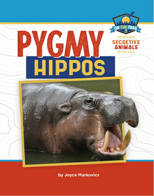 楽天ブックス: Pygmy Hippos - Joyce Markovics - 9781534182202 : 洋書