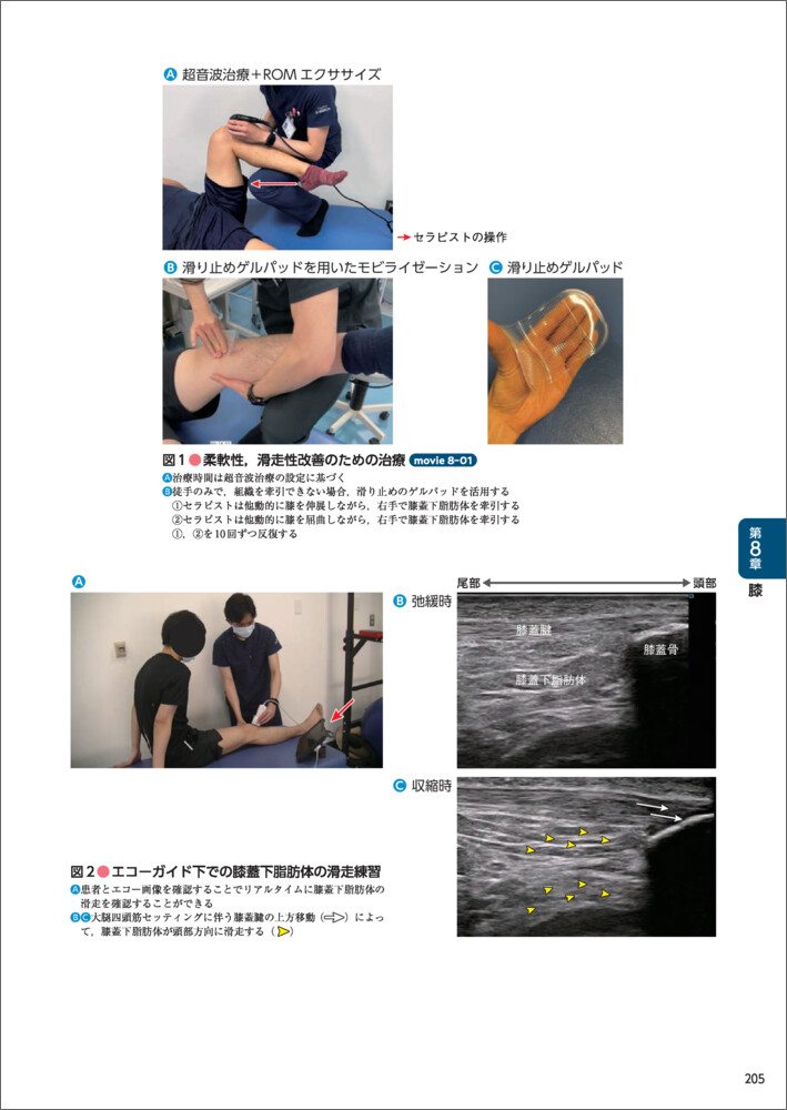 楽天ブックス 臨床の疑問に答える軟部組織の障害と理学療法 坂 雅之 9784758102650 本