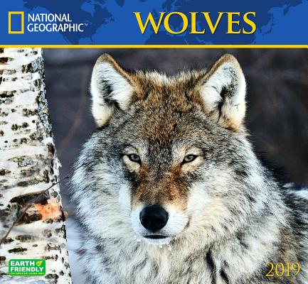 楽天ブックス: Cal 2019 National Geographic Wolves - National Geographic ...