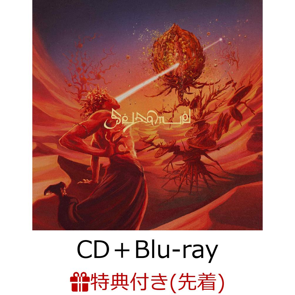 楽天ブックス: 【先着特典】Sesame (CD＋Blu-ray)(「Sesame」ロゴステッカー) - Kroi - 2100013843002 : CD