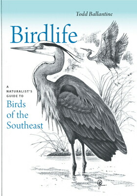 楽天ブックス: Birdlife: A Naturalist's Guide to Birds of the Southeast - Todd ...