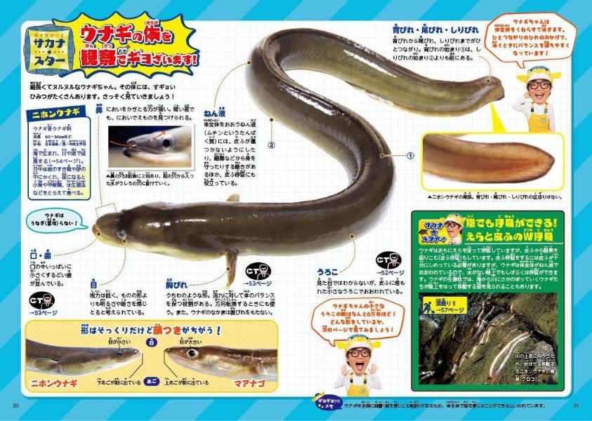 楽天ブックス さかなクンのギョギョッとサカナ★スター図鑑2 さかなクン 9784065323496 本