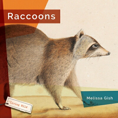 楽天ブックス: Raccoons - Melissa Gish - 9781682773505 : 洋書