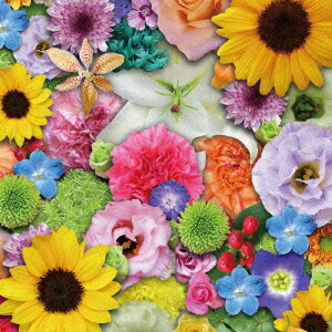 楽天ブックス: The Best - Flowerland - 4582450853666 : CD