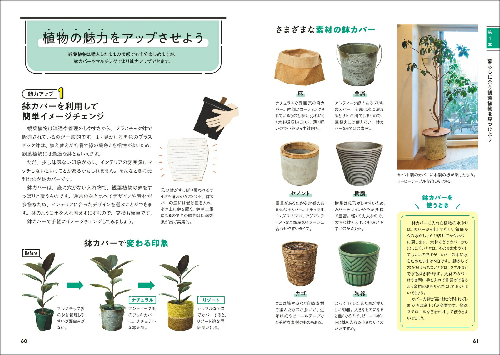 楽天ブックス 選び方・育て方のコツがわかる！観葉植物を楽しむ教科書 佐藤 桃子 9784816373824 本