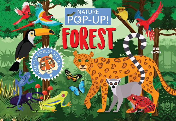 楽天ブックス: Nature Pop-Up! Forests: 8 Pop-Up Forest Scenes - David Hawcock ...