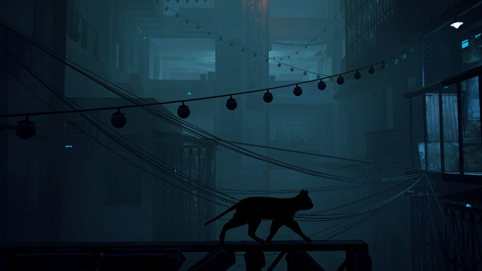 楽天ブックス: Stray - Nintendo Switch - 4907953564671 : ゲーム