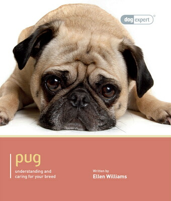 楽天ブックス: Pug - Ellen Williams - 9781906305703 : 洋書